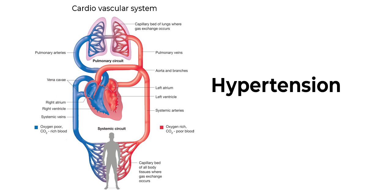 Hypertension - Union Yoga Ayurveda